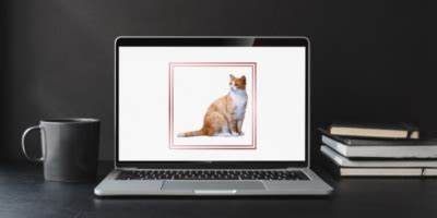 Ways To Create A Double Border In CSS Geekflare
