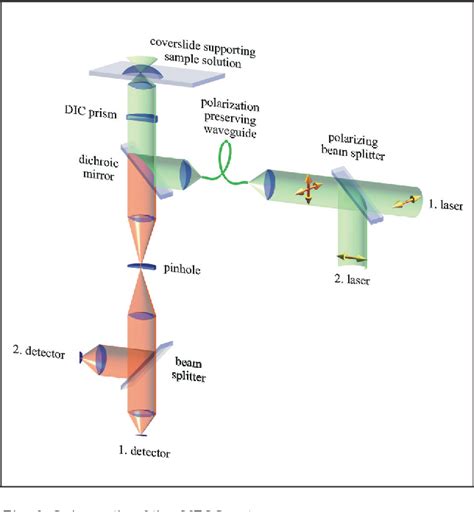 Figure 3 From Dual Focus Fluorescence Correlation Spectroscopy Semantic Scholar