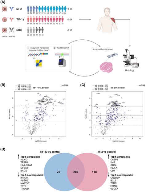 Genetic Profiling Of Anti‐tif‐1γ⁺ And ‐mi‐2⁺ Dermatomyositis Patients