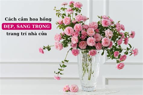 Cách Cắm Hoa Hồng Đẹp Đơn Giản Phù Hợp Với Mọi Dịp Mới Nhất 2024 Flosa