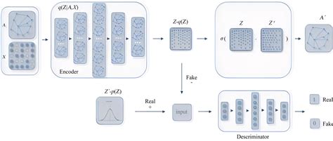 基于图神经网络的mirna 疾病关联预测研究综述