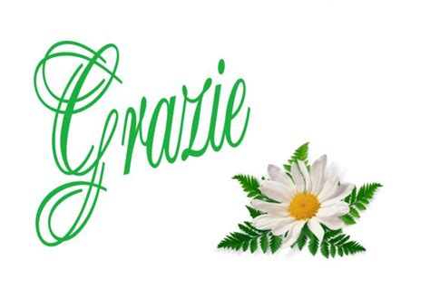 Frasi Per Ringraziare Qualcuno Grazie Immagini Imagez