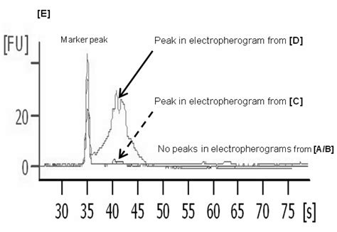 Optimization Of Extraction Of Circulating Rnas From Plasma Enabling