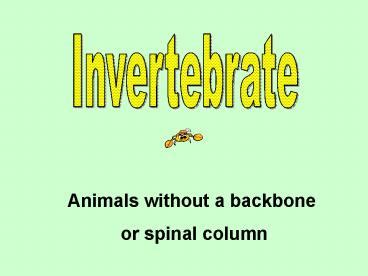 Invertebrate Presentation Free To View