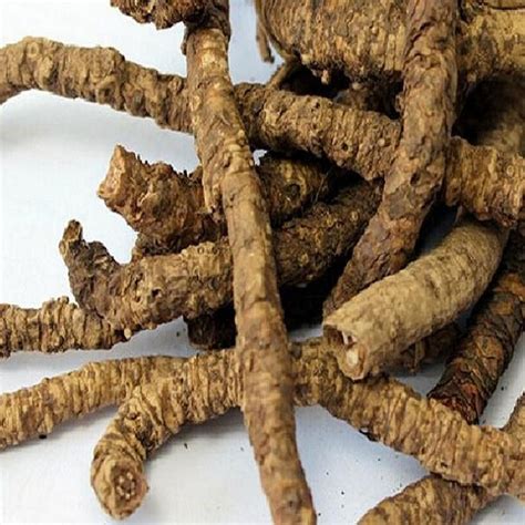 西藏胡黄连详细介绍特点 拉萨特产 特色谷
