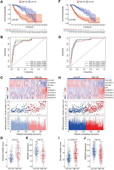 Validation Of The Lncrna Signature For Genomic Instability Used To