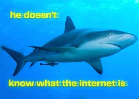 Feministdolltrainer On Tumblr