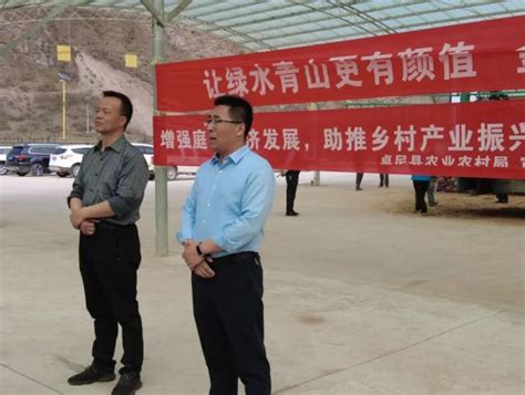 发展庭院经济 助力乡村振兴——卓尼县举行“庭院经济”树苗发放仪式澎湃号·政务澎湃新闻 The Paper