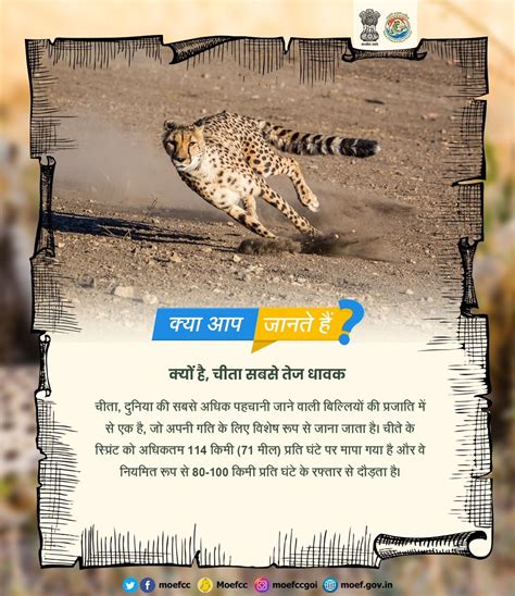 Mygovhindi On Twitter पिछले 5 7 वर्षों में शेरों बाघों तेंदुओं की