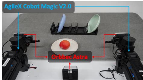 Robomind Benchmark On Multi Embodiment Intelligence Normative Data For Robot Manipulation
