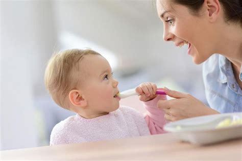 Función De Emplear Una Dieta Blanda Y Lista De Alimentos Permitidos