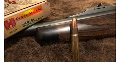 Three Best Dangerous Game Calibers To Stake Your Life On