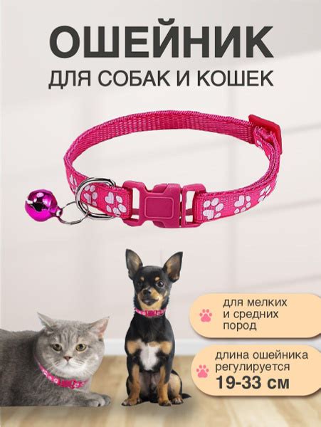 Ошейник для кошек и собак мелких пород, для кота котенка щенка ...