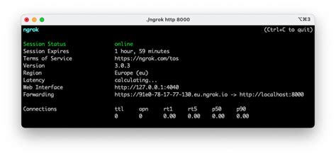 Using Ngrok In Twilio