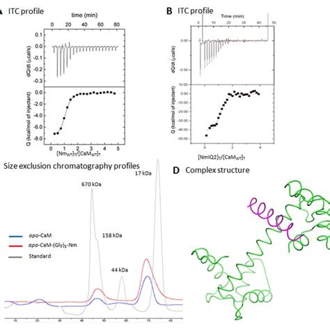 The Three Wnt Signalling Hubs Apc Axin Wtx Contain Large Download Scientific Diagram