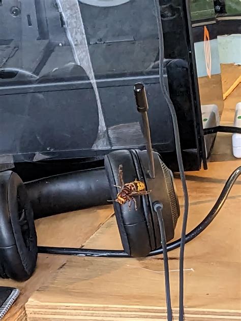 Okay How Do I Make It So I Am Able To Use My Graphic Card And Not My Integrated Graphics I