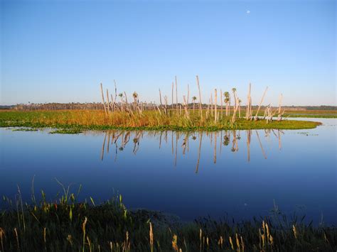 Strengthening Wetland Protections In Orange County Florida