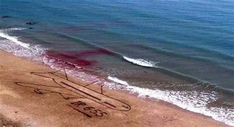 Deliberate Downing Of Iran Air Flight 655 By Us Bitter Air Tragedy Of