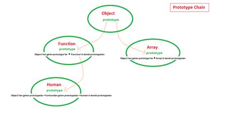 Prototypal Inheritance Nedir Seda Ertuğrul Medium