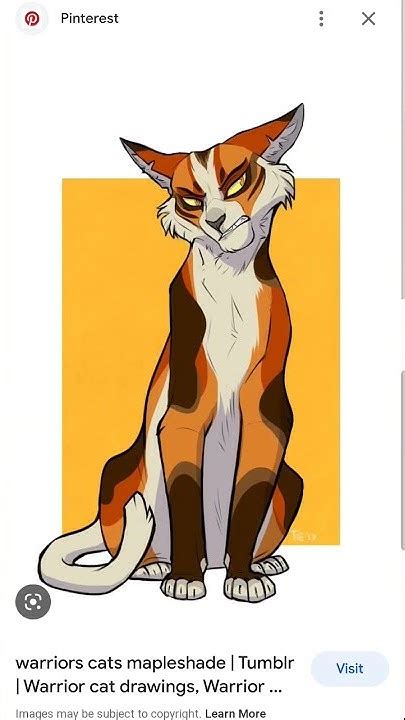 Sol And Mapleshade Youtube