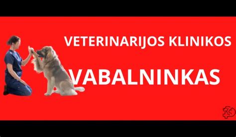 Veterinarijos Klinikos《 Vabalninkas 》 2026 ️