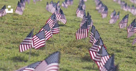 Selective Focus Photography Of Usa Flaglets Planted On Ground Photo
