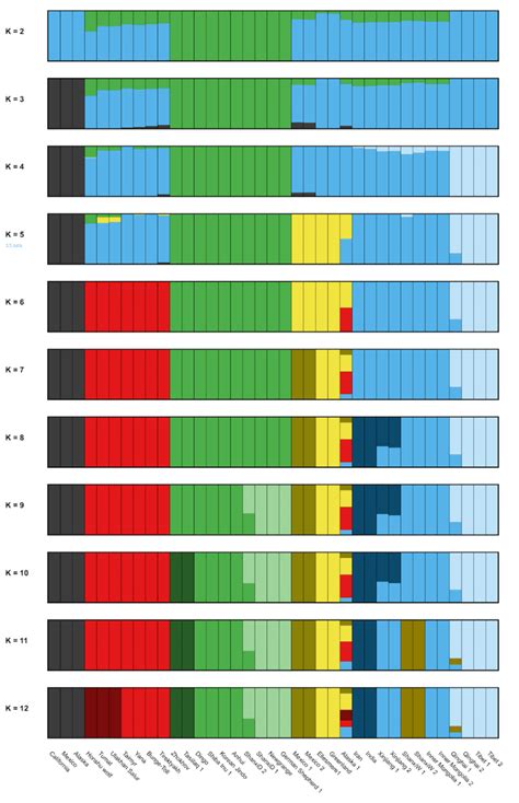 Figure S4 Extended Admixture Graphs For K 2 To K 12 Ancestral