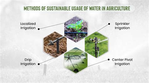 Usage Of Water In Agriculture Importance And Sustainability