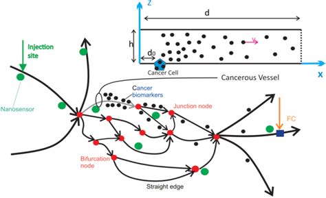 Figure 5 From Abnormality Detection And Localization Schemes Using