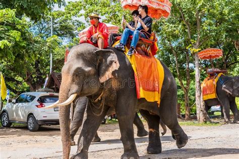 Ayutthaya Thailand September 17 2022 The Tourists Riding Elephants