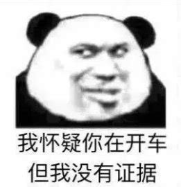 我怀疑你在开车但是我没证据是什么意思 布丁导航网