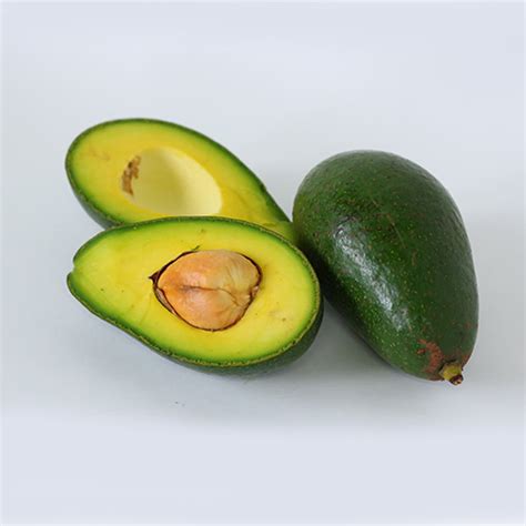 อาโวคาโด พันธุ์ฮอล มูลนิธิโครงการหลวง Royal Project Foundation