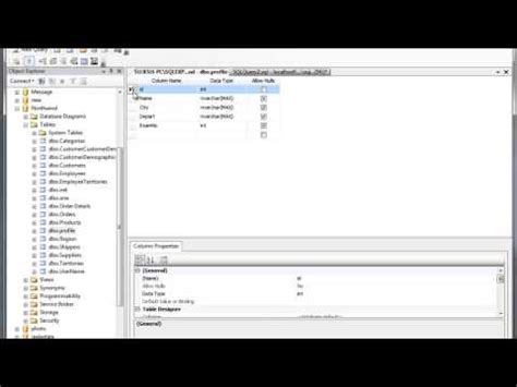C Tutorials In Tamil Part SQL Injection Part Video Lecture C Sharp Enhance Your