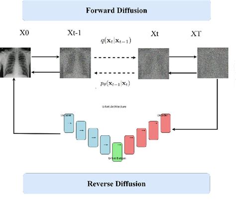 Figure 2 From Ssdma Self Supervised Diffusion Model For Lung Anomaly