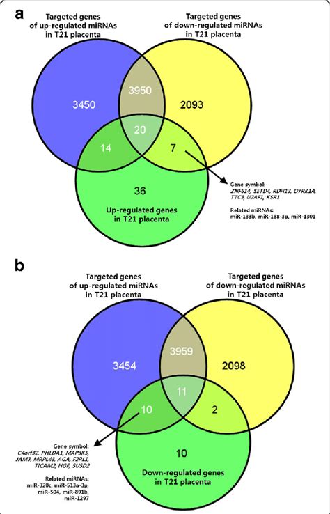 negative correlation between gene and mirna expression levels a venn