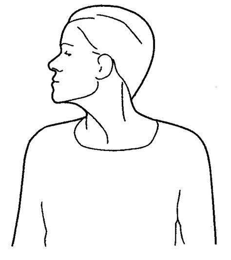 Body Outline Diagram Clipart Best