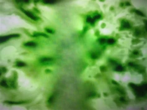 Theo Shelldons Remix Background By Qaani On Deviantart