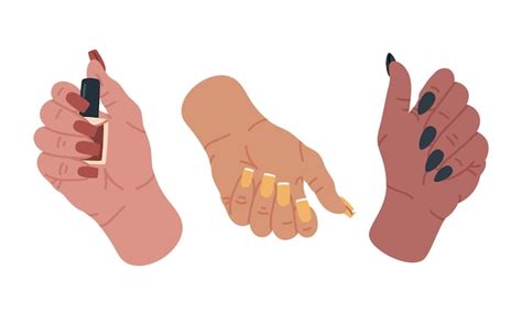 Premium Vector Female Manicured Doodle Hands Cartoon Vector