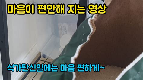 마음이 편안해 지는 영상 Youtube
