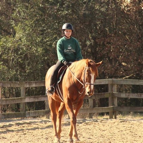 Fox Pointe Farm Llc Olive Branch Ms