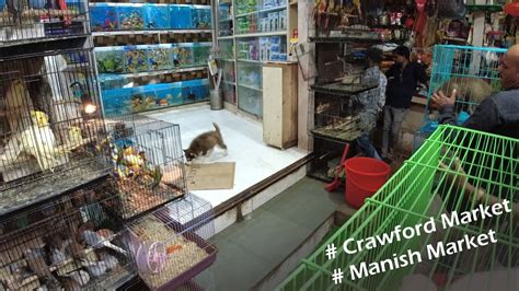 मुंबईतील फेमस क्रॉफर्ड मार्केट । मनीष मार्केट । Crawford Market Mumbai