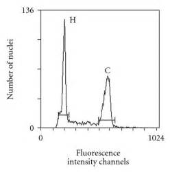 Ac Histograms Of Nuclear Dna Content Obtained For Some