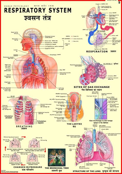 Electric Shock And Its Treatment Chart Electric Shock Vidya Chitr