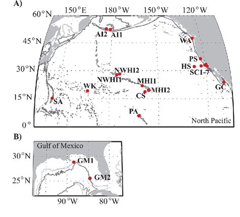 Figure 1 From Species Specific Beaked Whale Echolocation Signals Semantic Scholar