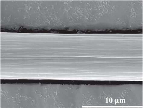 Sem Micrograph Of The Carbon Fibre Download Scientific Diagram