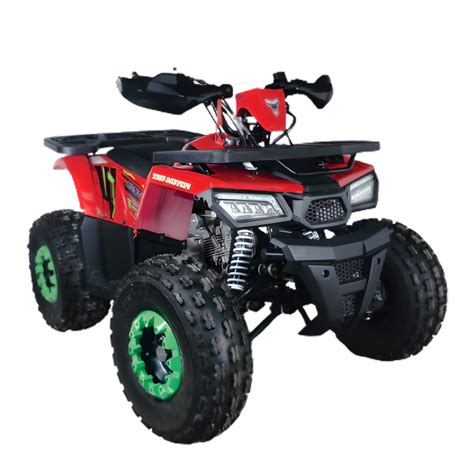 CuadrÓn Pegasso Hunter 125cc Almacenes Arcos