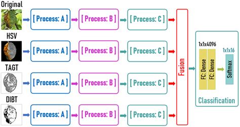 Vgg16 Based Late Fusion Model Download Scientific Diagram