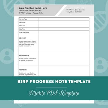 BIRP Progress Note Templates Editable Fillable PDF Template Mental Health