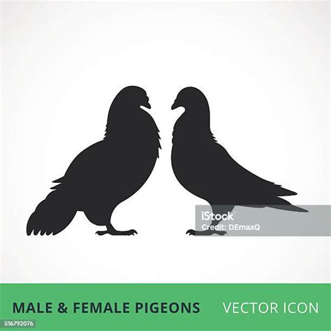 Two Pigeons Love Silhouettes Stock Illustration Download Image Now