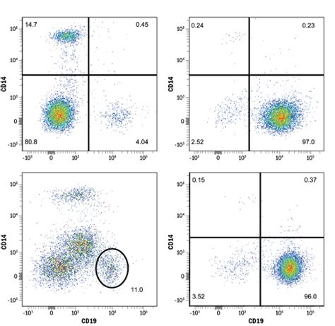 Magcellect™ Magnetic Cell Separation And Isolation